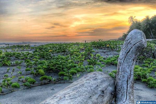 EL CUCO BEACH » What to see in eastern El Salvador – El Salvador Travel
