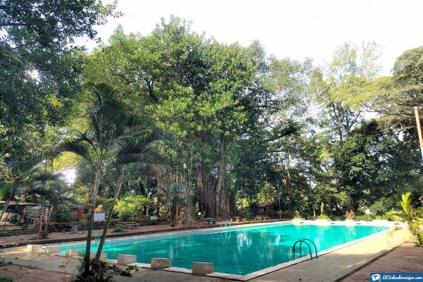 ATECOZOL AQUATIC PARK » What to see and do. Guide.