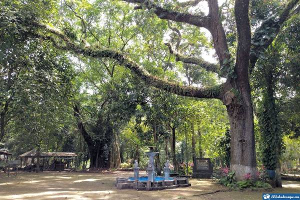 ATECOZOL AQUATIC PARK » What to see and do. Guide.