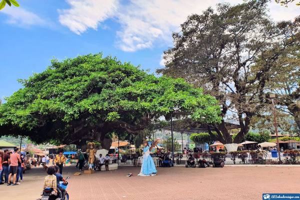 CONCEPCIÓN DE ATACO » What to see and do in this town – El Salvador Travel