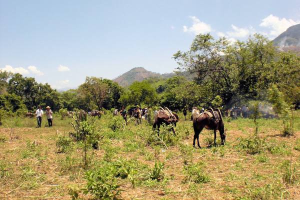 SUMPUL RIVER » History and nature. What to see and do.