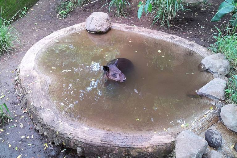 JAYAQUE » What to see. A city with the aroma of coffee. – El Salvador ...