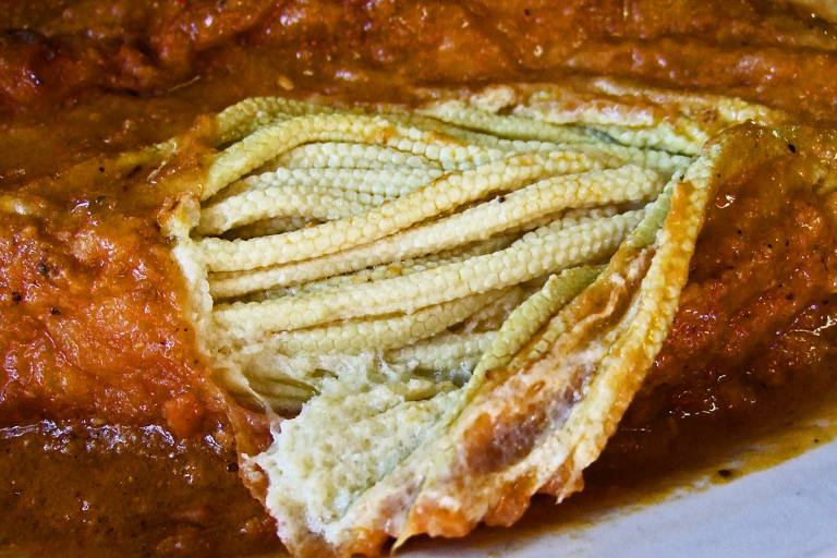 35 COMIDAS TÍPICAS DE EL SALVADOR » Platillos únicos – Viajar a El Salvador