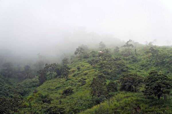 CERRO VERDE » Qué ver y hacer. Volcán Extinto. – Viajar a El Salvador