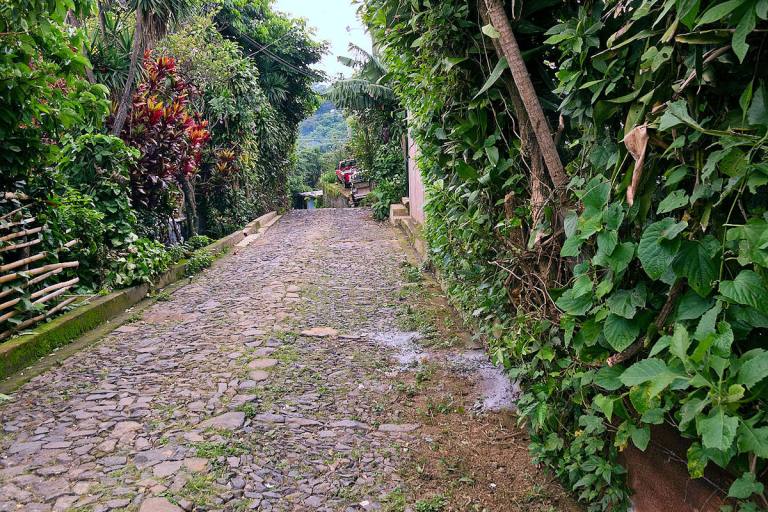 COMASAGUA » Qué ver y hacer en el bálsamo del café – Viajar a El Salvador